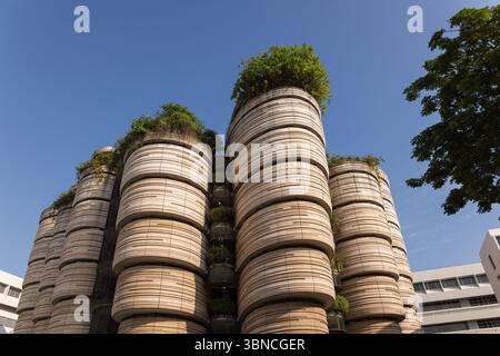 The Hive, NTU Singapore architecture designed by Thomas Heatherwick ...