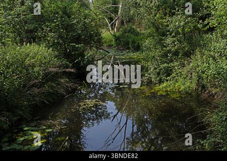 River Deben Loudham Suffolk England Stock Photo - Alamy