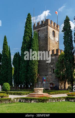 Tall cypress trees standing in swamp water with clear reflections and ...