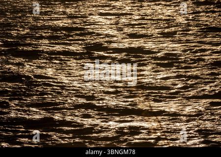 Sea at afternoon. Jalisco coast. Mexico Stock Photo - Alamy