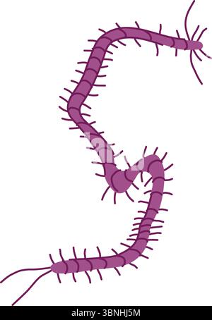 tapeworm parasite cartoon vector illustration Stock Vector Image & Art ...