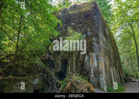 Wolf's Lair, the first headquarters of Adolf Hitler's Eastern Front ...