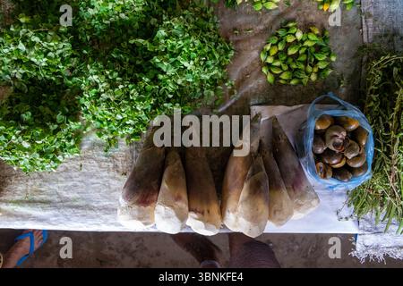 Assorted Wild Herbs, Bamboo Shoots, and Snails at Southeast Asian ...