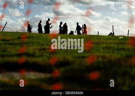 salvador, bahia / brazil - june 29, 2020: tangerine fruit is seen in ...