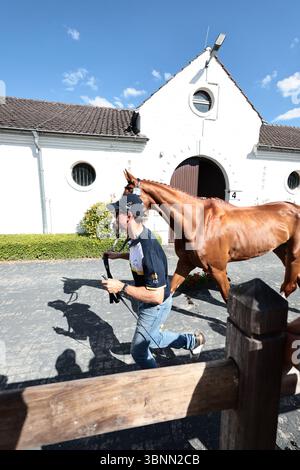 William Levett of Australia with Sligo Candy Cane during the dressage ...