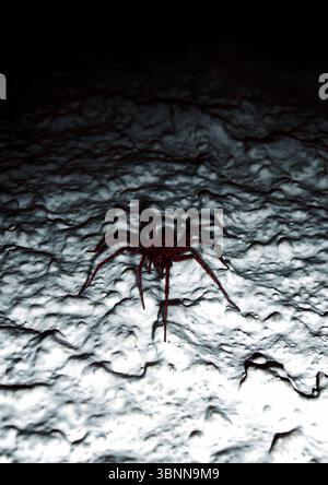 Creepy red spider crawling on scary web against dark black background ...