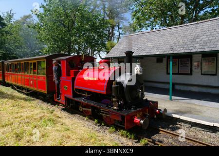 No 3, Sir Haydn, Sir Handel, Rhydyronen, Tal y Llyn, Narrow Gauge ...