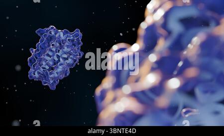 3D rendering of complex leptin protein molecular structures at a ...