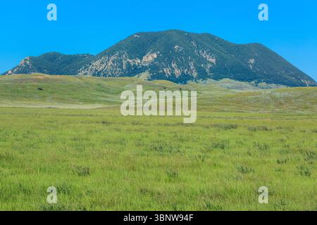 black butte above the prairie near roy, montana Stock Photo - Alamy