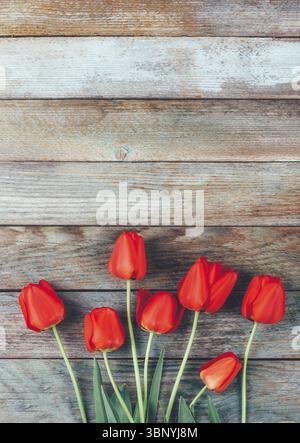 tulips light wooden background. the view from top. with space for text ...