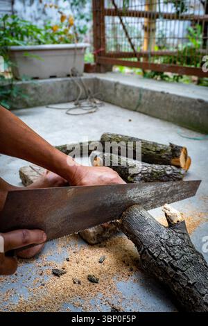 Aari saw slicing wood logs with dust falling in an Indian backyard for ...