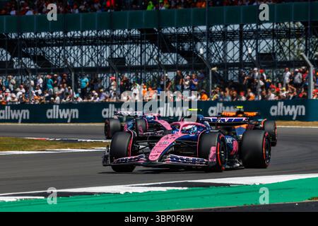 #43 Franco Colapinto (ARG, BWT Alpine F1 Team), #12 Andrea Kimi ...