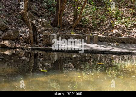 Pool, Parque Ecologico Bosque de Cinquera, El Salvador Stock Photo - Alamy