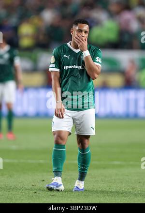Vitor Roque of Palmeiras during a match against Vitória in an early ...