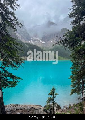 Moraine Lake with pine trees and people kayaking, Banff national park ...