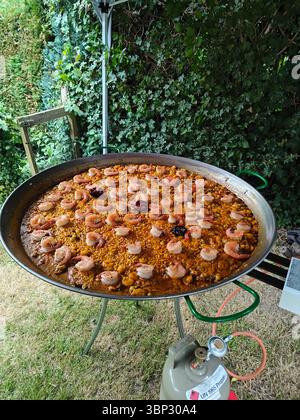 Very big seafood paella from Valencia Spain Stock Photo - Alamy