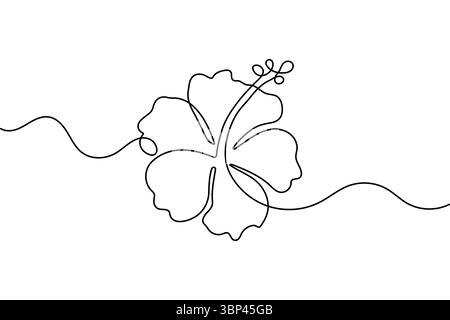Hibiscus flower one line drawing in minimalist style isolated on white ...