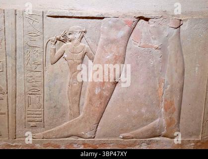 A photograph of a relief within the tomb of Unas, built in the 24th ...