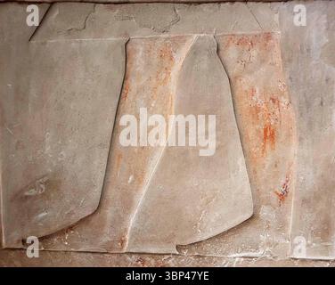 A photograph of a relief within the tomb of Unas, built in the 24th ...