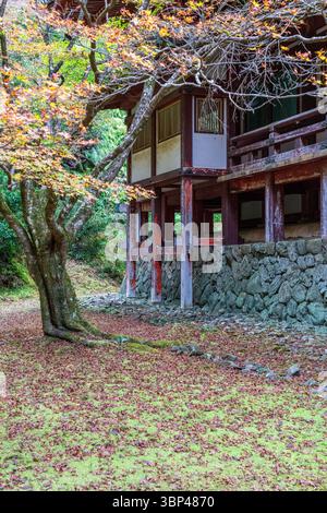 Jingo-ji Temple in Kyoto, Japan. The Temple originally built in 824, as ...