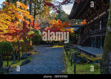 The beautiful Shinsho Gokurakuji Temple on a sunny morning during fall ...