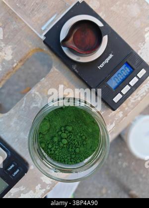 the color green, associated with nature, life, health and hope Stock ...