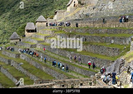 Tourists walk on agricultural terraces for growing crops at Machu ...