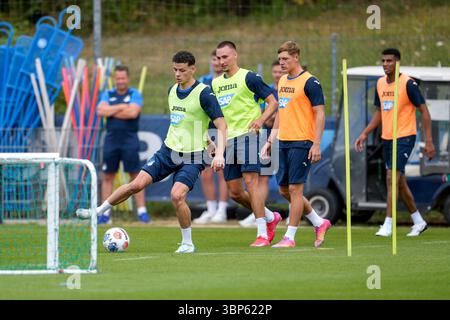 Alexander Prass (Hoffenheim, #22), Tim Lemperle (Hoffenheim, #19 ...