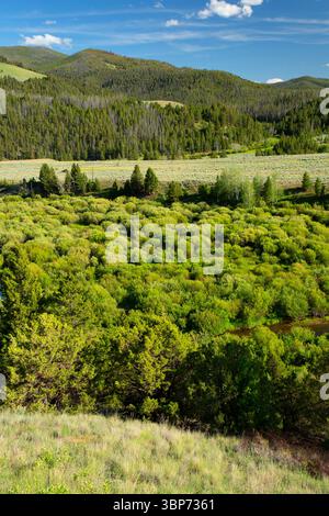 Boulder River valley, Beaverhead-Deerlodge National Forest, Montana ...