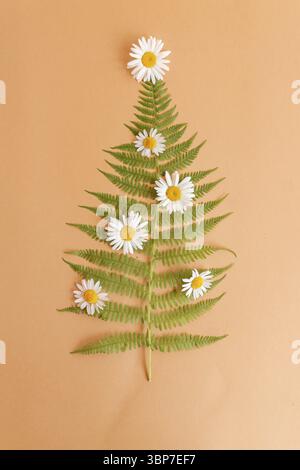 Summer christmas tree made of fern and chamomile flowers with copy ...