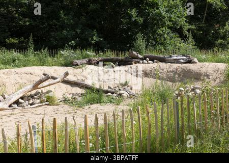 Sandbiotop, Sandbiotope, Lebensraum für Zauneidechse und sandlebende ...