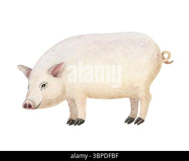 Animal farm in the village on a sunny summer day. Digital Painting ...