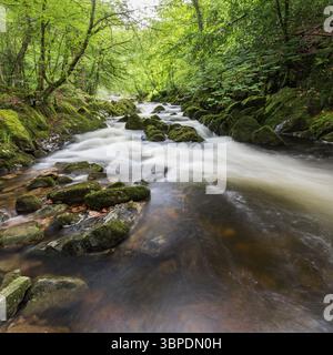 River Avon on Dartmoor, Devon, UK Stock Photo - Alamy