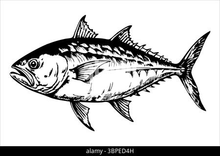 A detailed illustration of a fish, showcasing its fins, scales, and ...