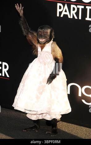 Crystal the monkey at The Hangover Part II premiere in Los Angeles, CA ...