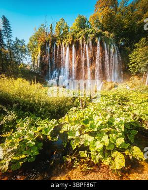 A gorgeous view of the Plitvice Lakes National Park in Croatia with ...