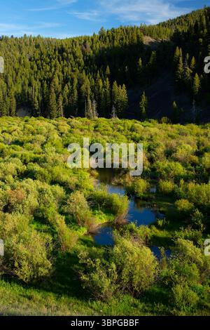 Boulder River valley, Beaverhead-Deerlodge National Forest, Montana ...