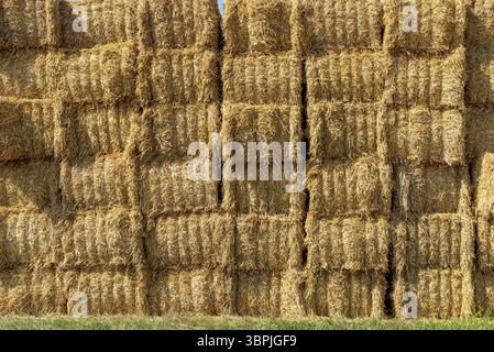 Stacked square bales of harvested hay in oblique sunlight Stock Photo ...