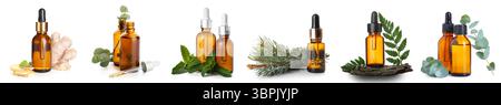 Set of different essential oils for aromatherapy on white background ...