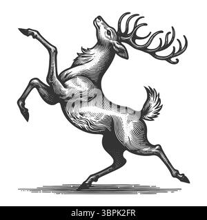 Rearing Stag engraving sketch vector illustration Stock Vector Image ...