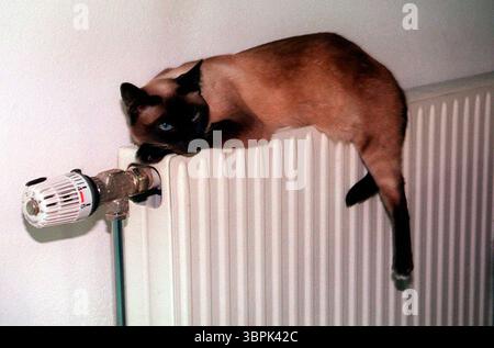 convector heating for heating rooms or regulate the room temperature ...