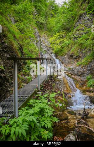 Forest path crossed by a metal bridge, typical of the industrial ...