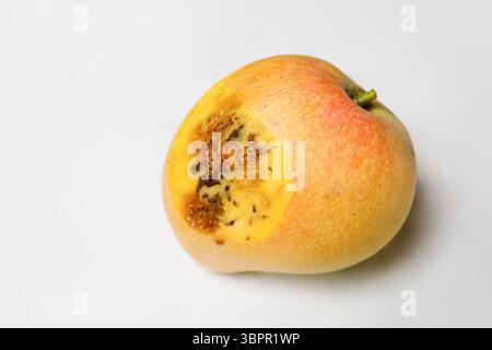 Ripe Mango Cut Open Revealing Unexpected Internal Rot and Mold Despite ...