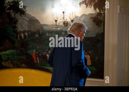 White House Chief of Protocol Monica Crowley greets German Ambassador ...
