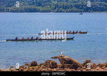 First Nations dugout canoe racing at Cates Park in North Vancouver ...