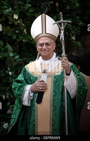 Pope Leo XIV celebrates a Mass on the occasion of the Jubilee of ...