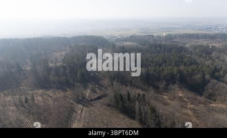 A panoramic shot of landscape of treetops under the cloudy sky Stock ...