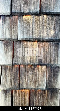 grey color rustic finish natural marble stone design with plain texture ...