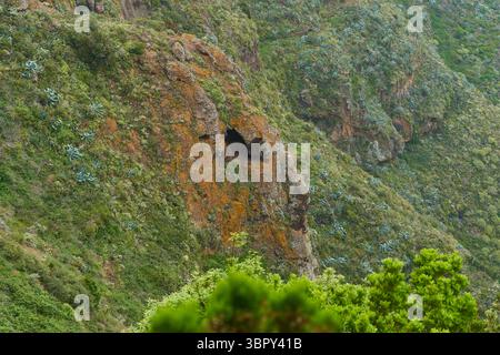 Eroded cliffside with visible caves and stratified volcanic rock in ...