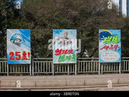 Propaganda posters in the street, DGC, Pyongyang, North Korea Stock ...